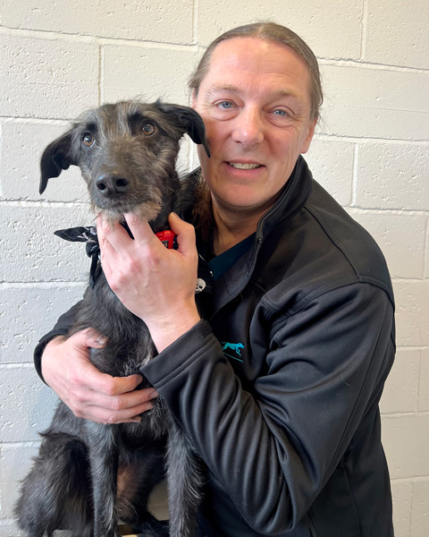 Meet Our Dedicated Team | Vets in Cranbourne